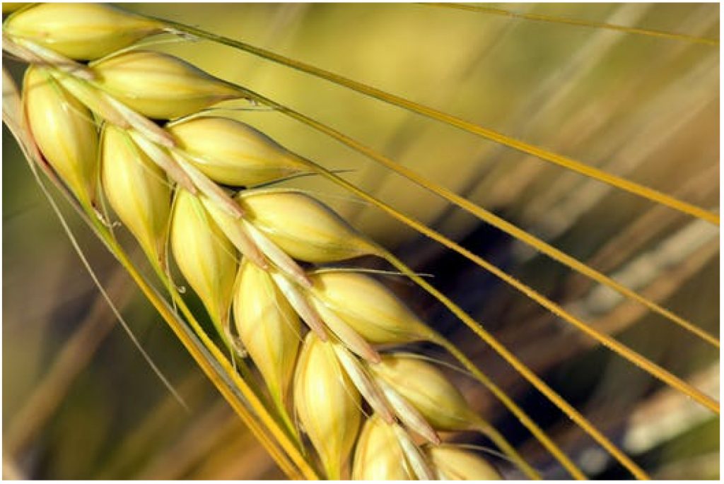 Master BIP Université de Paris