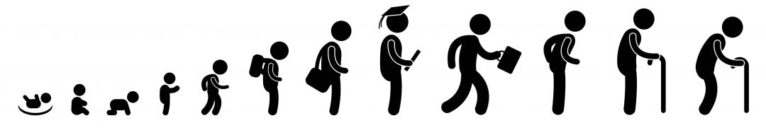 BioVie : Biologie du Vieillissement | Master BIP Université de Paris